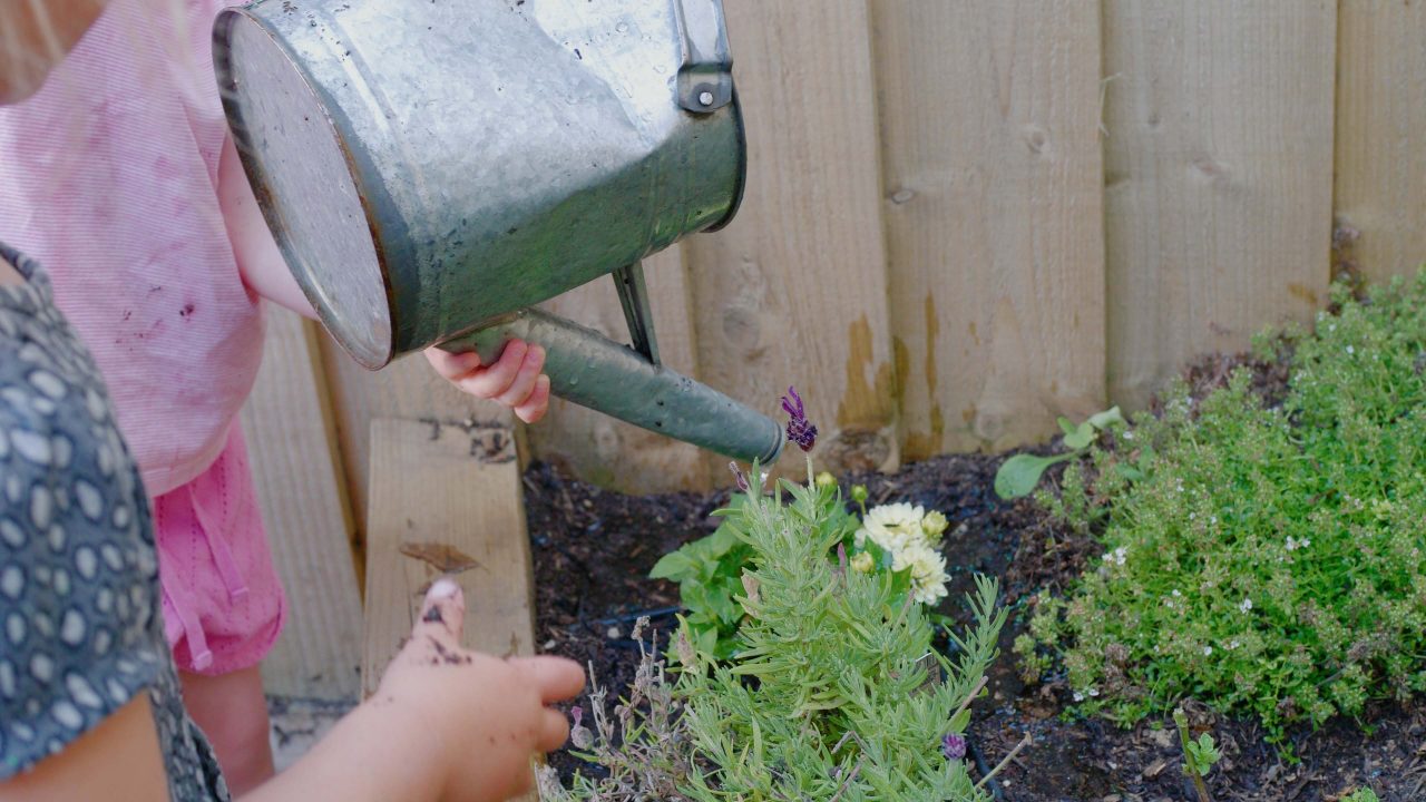 Daisy Fays Chiverton | Trusted Childcare in Cornwall UK