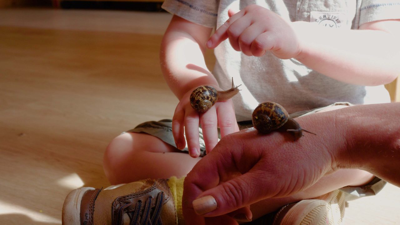 Daisy Fays Chiverton | Trusted Childcare in Cornwall UK