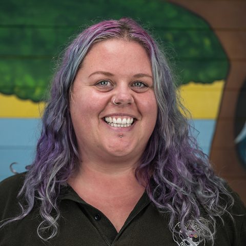 Meet the Daisy Fays Team – Cornwall Nurseries